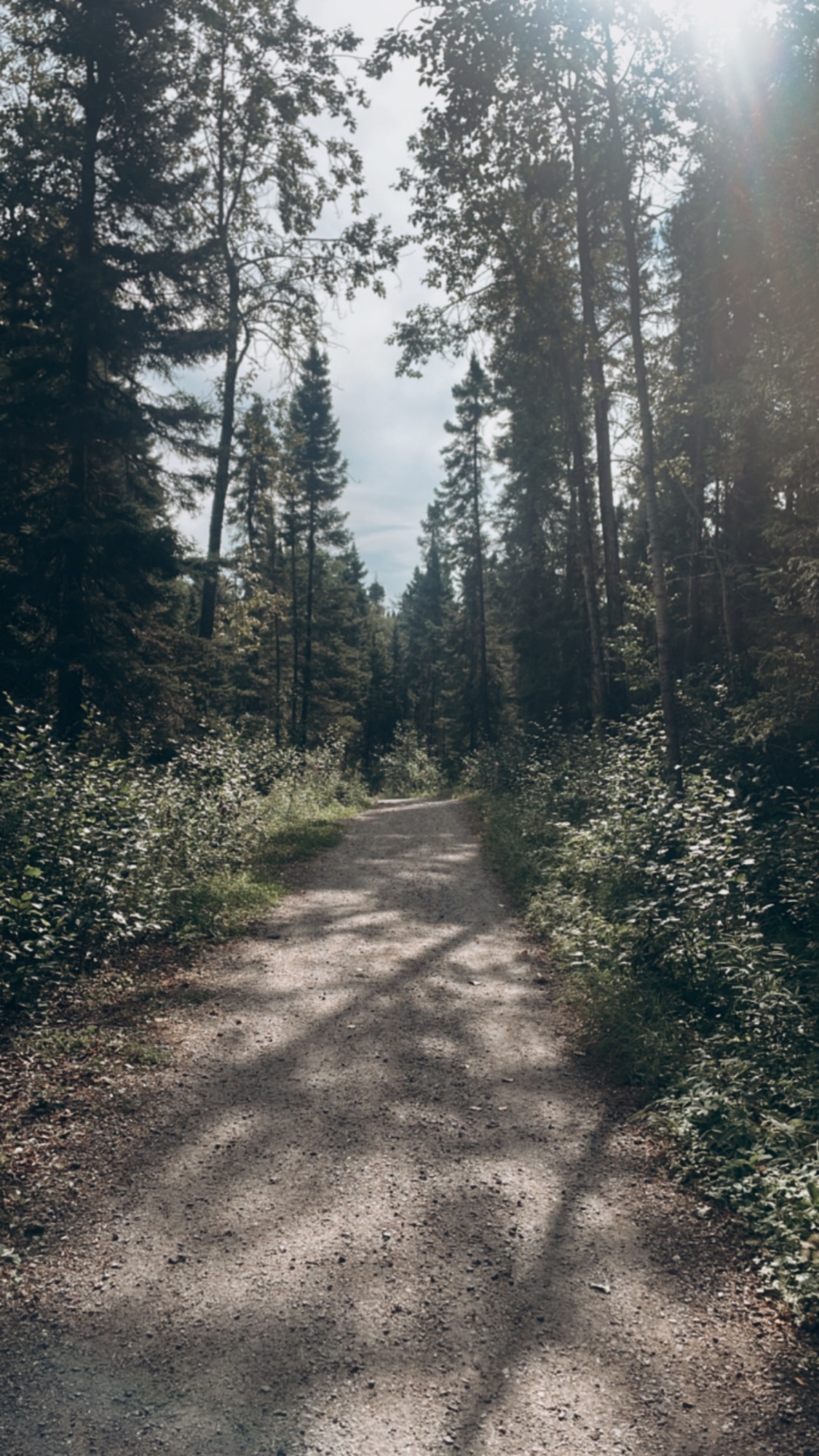 Flying by the seat of my pants – bloom.planted.north