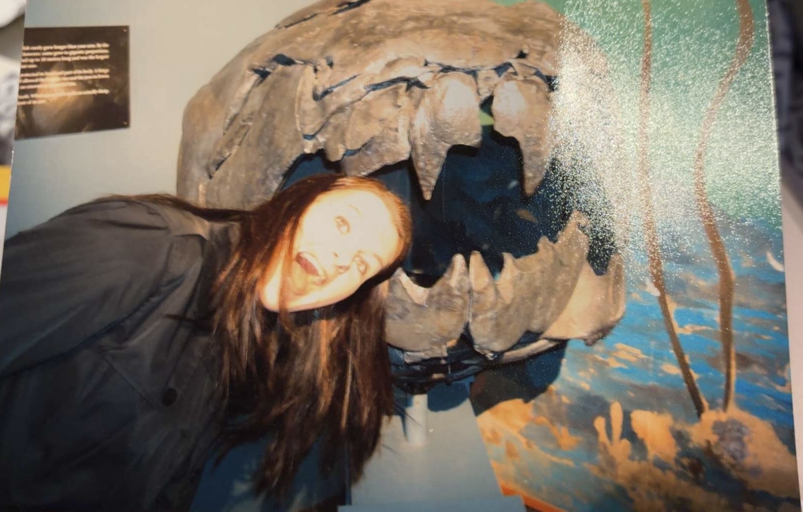 A damsel in distress – bloom.planted.north