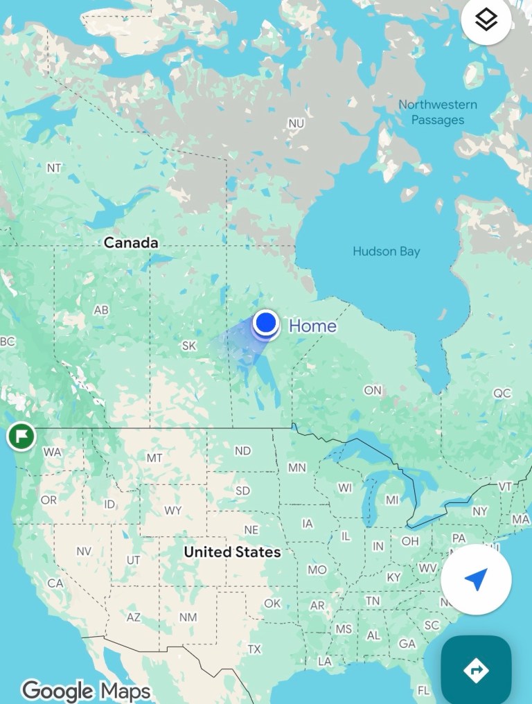 Nosey nelly – bloom.planted.north