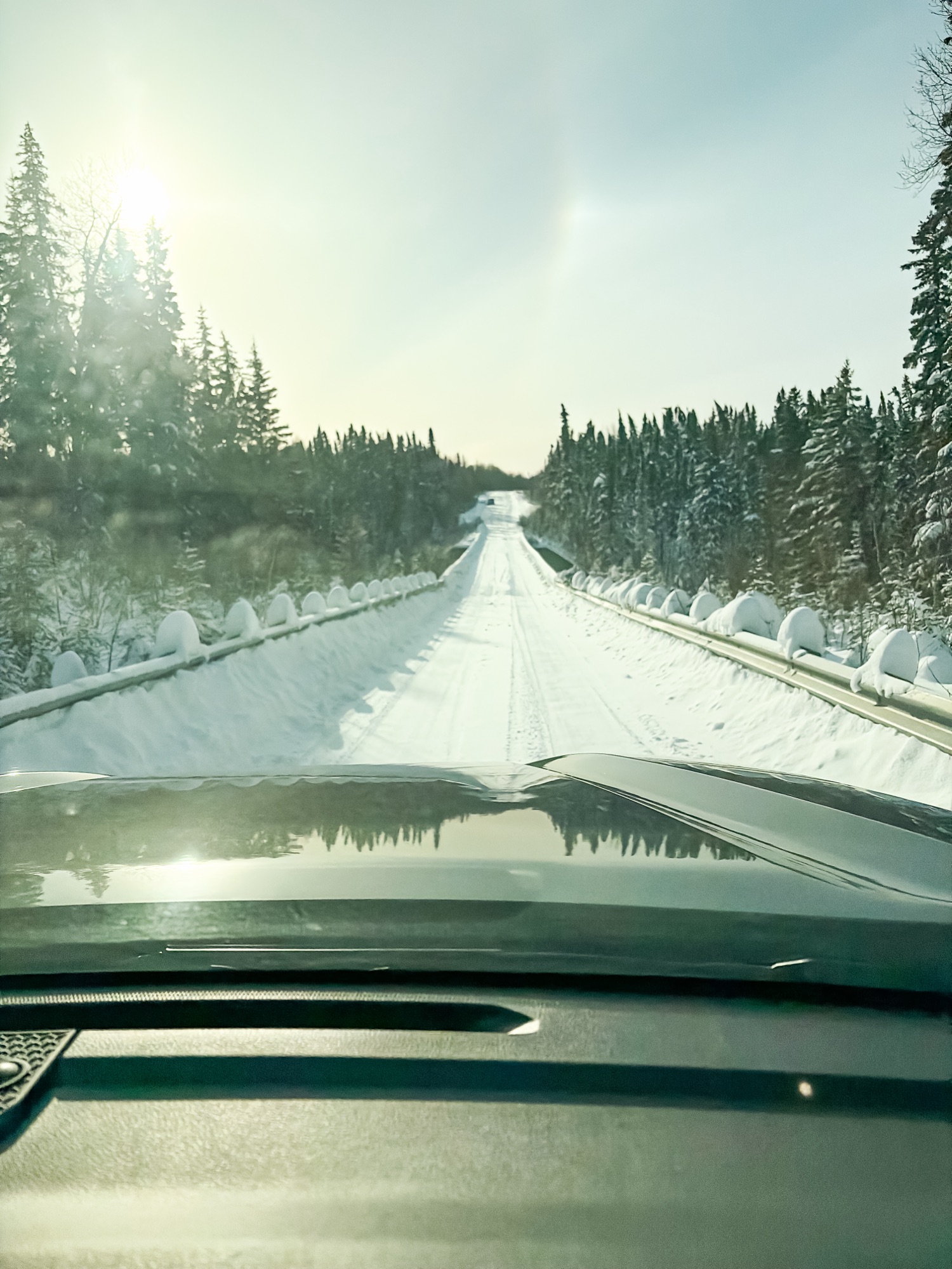 Old news – bloom.planted.north