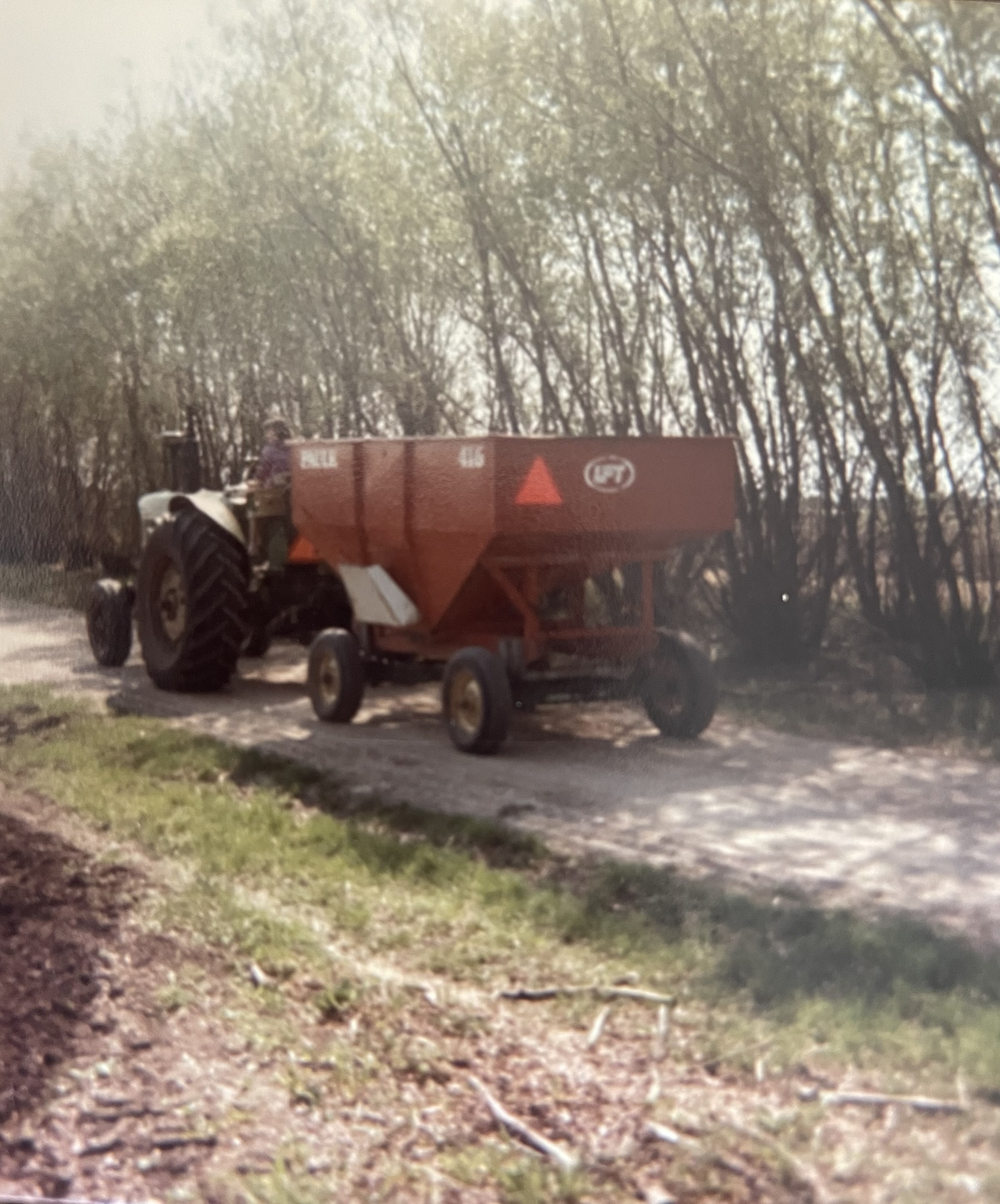 I’ll take sloppy for $400 Alex – bloom.planted.north